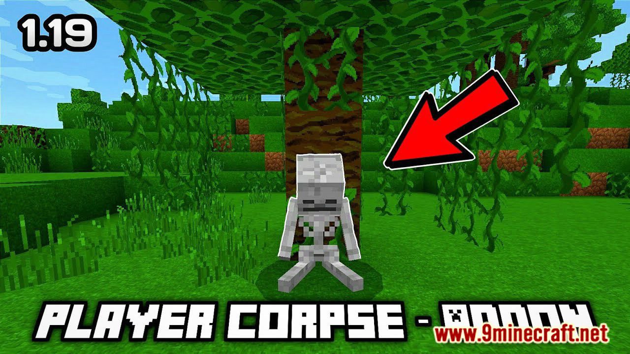 Player Corpse Addon (1.19) - MCPE/Bedrock Mod - Mc-Mod.Net