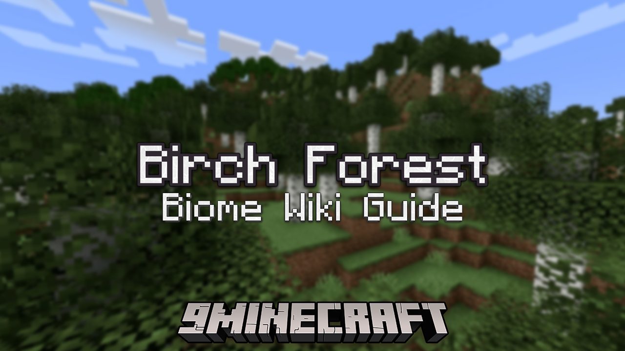 Birch Forest Biome - Wiki Guide - Mc-Mod.Net