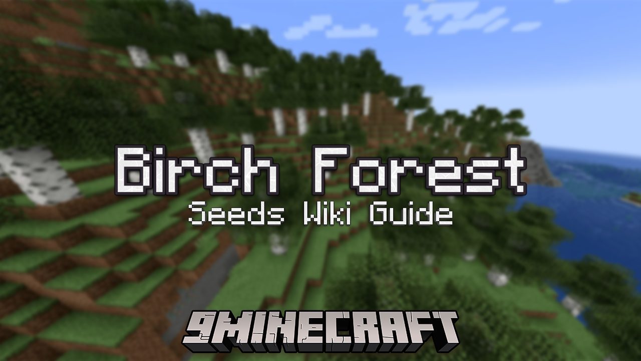 Birch Forest Seeds - Wiki Guide - Mc-Mod.Net