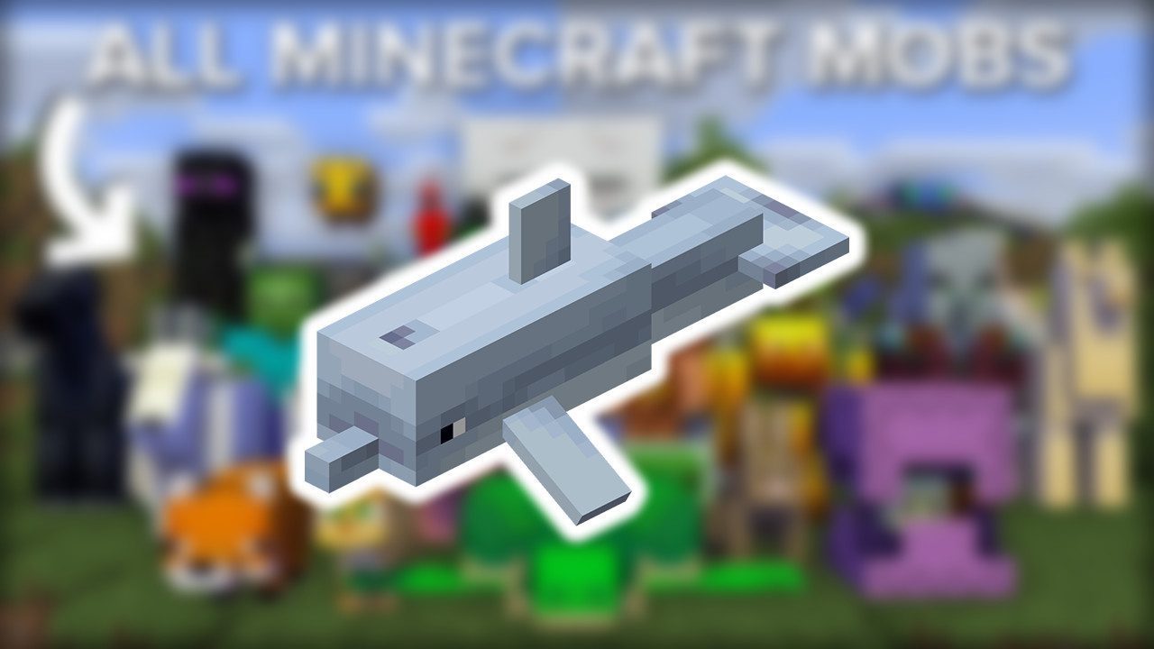 Dolphin Seeds - Wiki Guide - Mc-Mod.Net