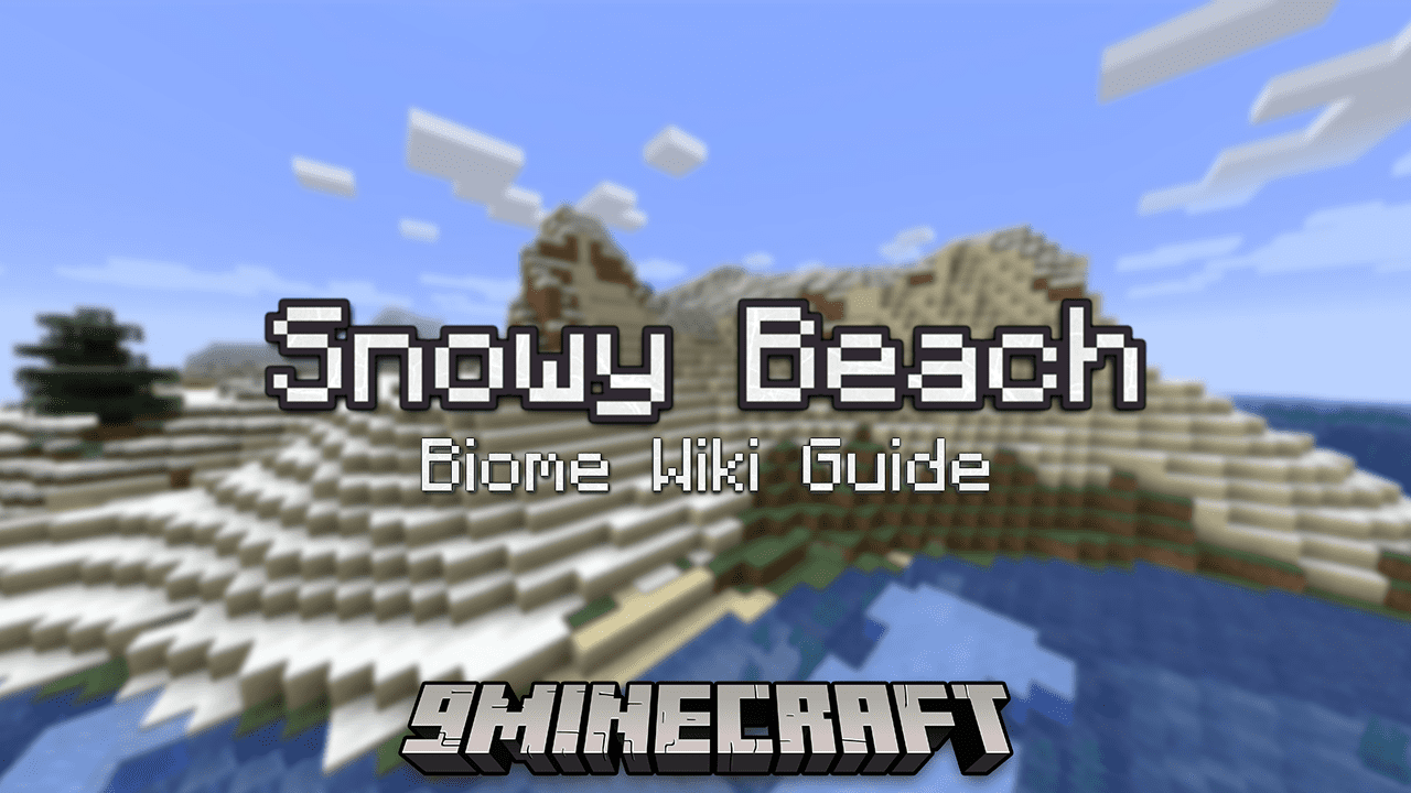 Snowy Beach Biome - Wiki Guide - Mc-Mod.Net