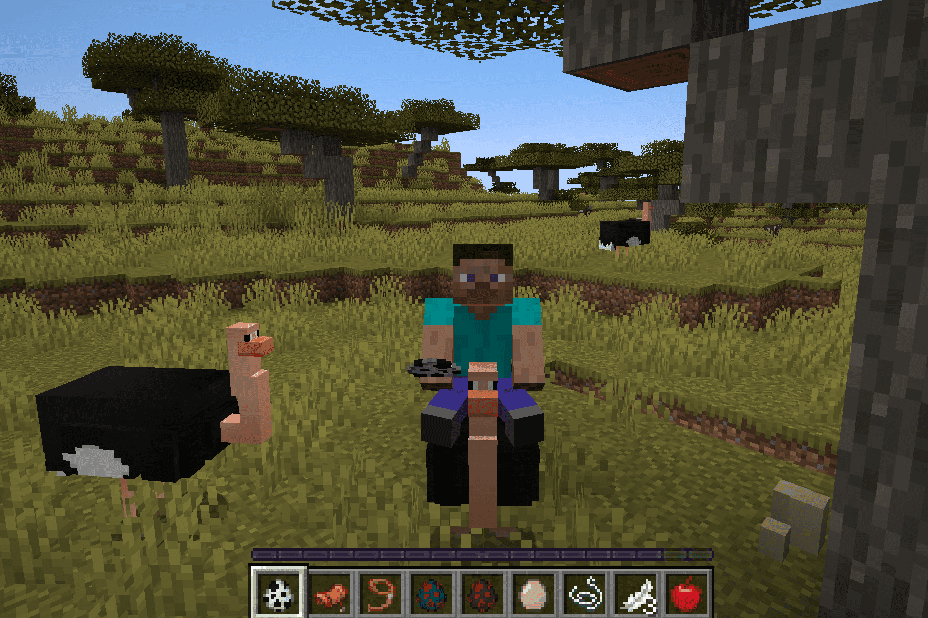 YDM's Ostrich Mod (1.20.1, 1.19.3) - Mc-Mod.Net