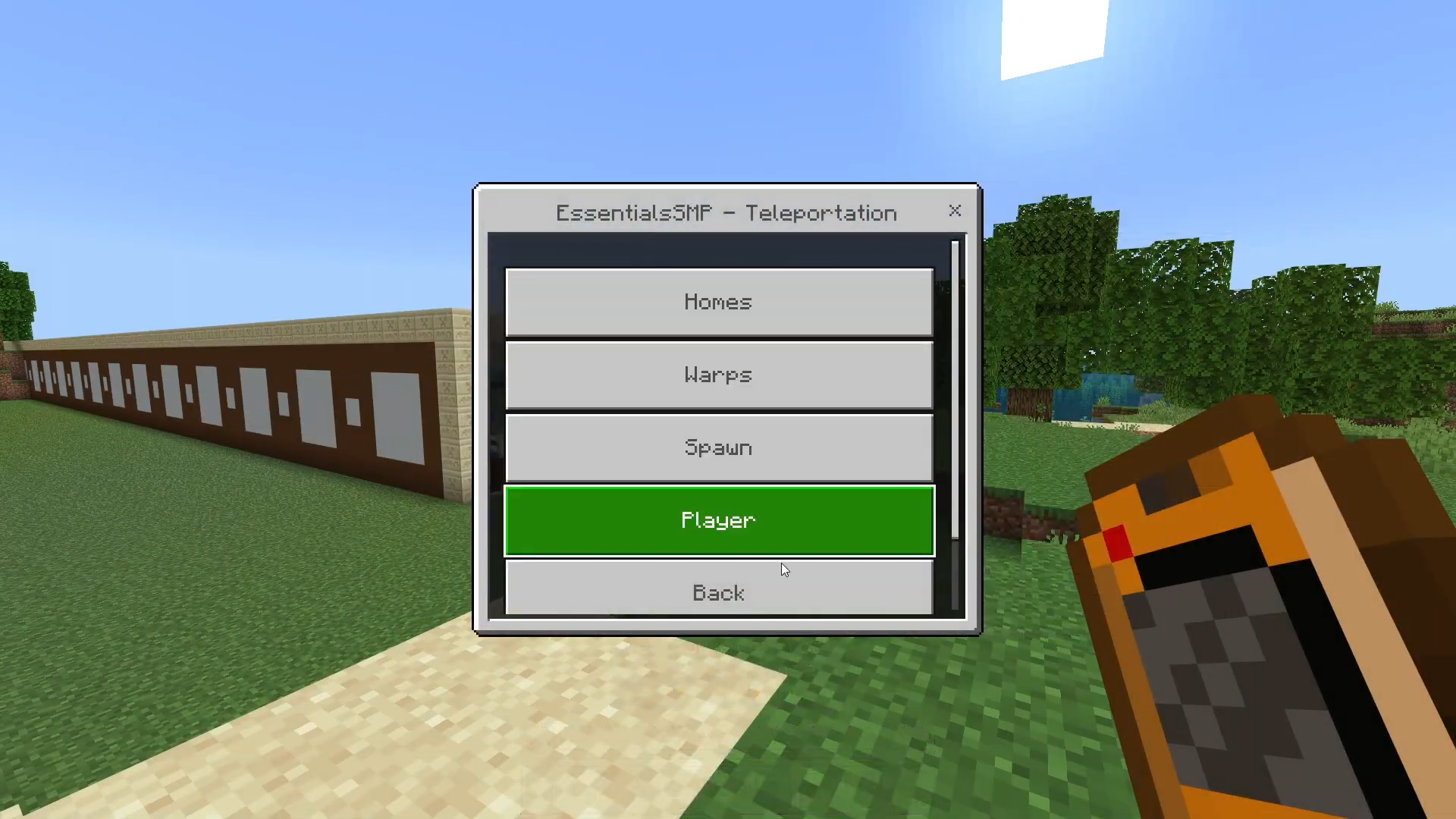 Essentials SMP Addon (1.21) – MCPE/Bedrock Mod - Mc-Mod.Net