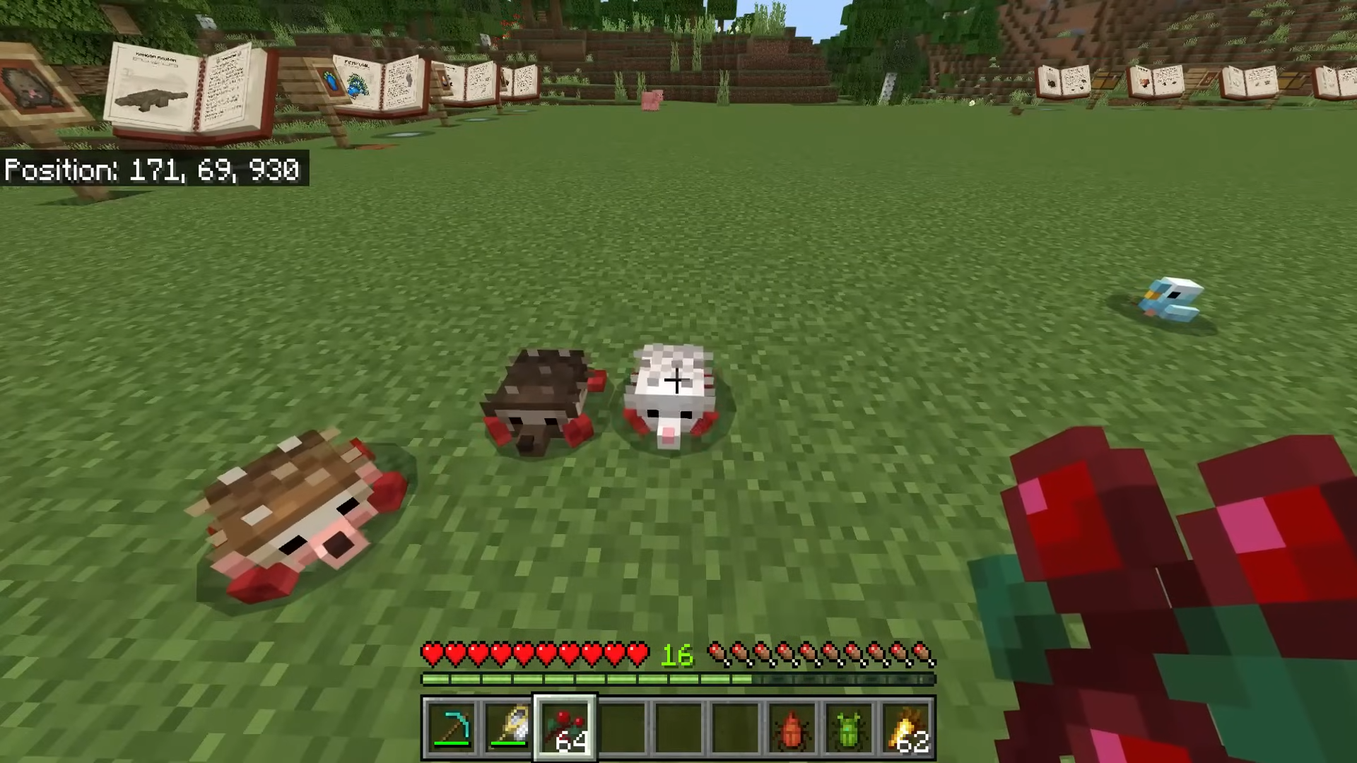 Wildlife Explorer: Evolution Addon (1.21) - MCPE/Bedrock Mod - Mc-Mod.Net