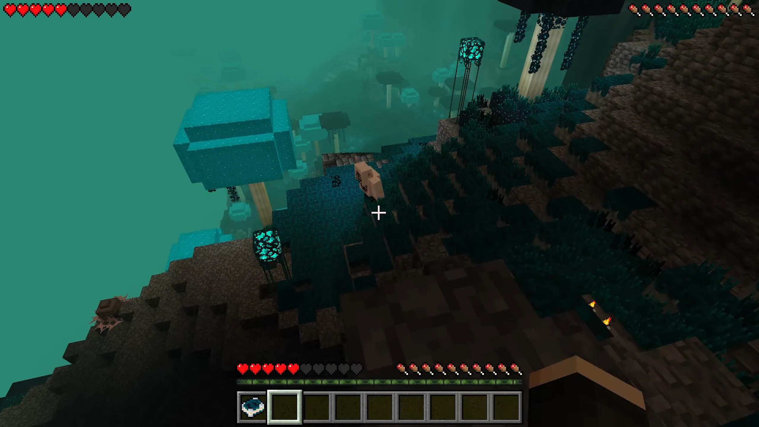 Warden Dimension Addon (1.21) - MCPE/Bedrock Mod - Mc-Mod.Net