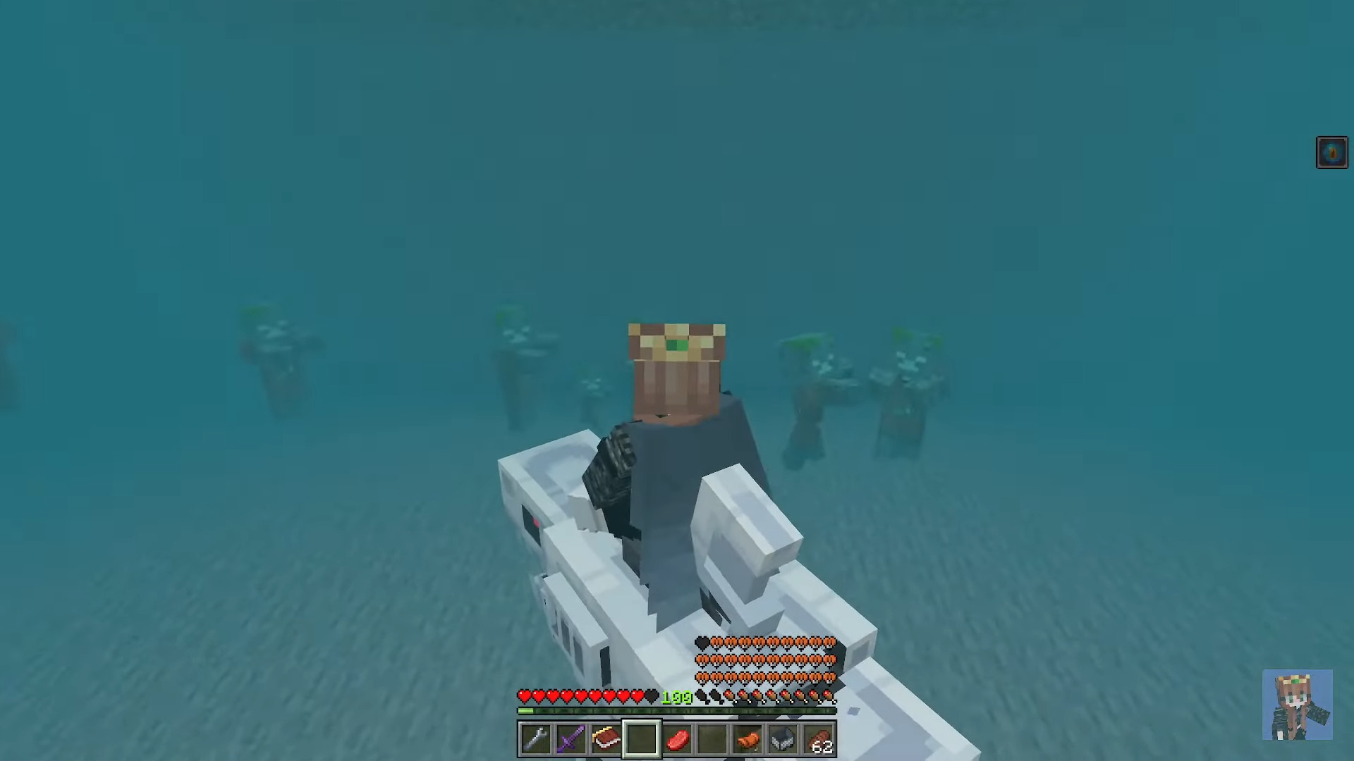 Mounts Addon (1.21) - MCPE/Bedrock Mod - Mc-Mod.Net