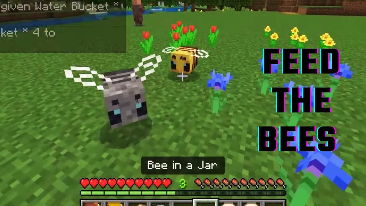 Feed The Bees Addon (1.21) - MCPE/Bedrock Mod - Mc-Mod.Net