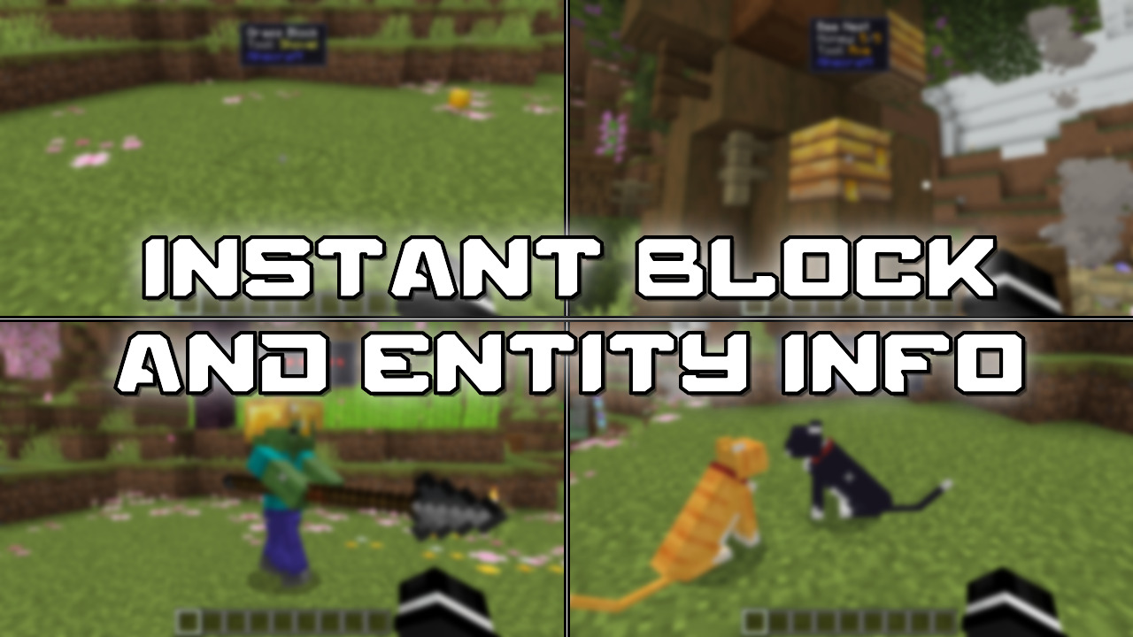 Instant Block and Entity Info Addon (26.10) - MCPE/Bedrock - Mc-Mod.Net