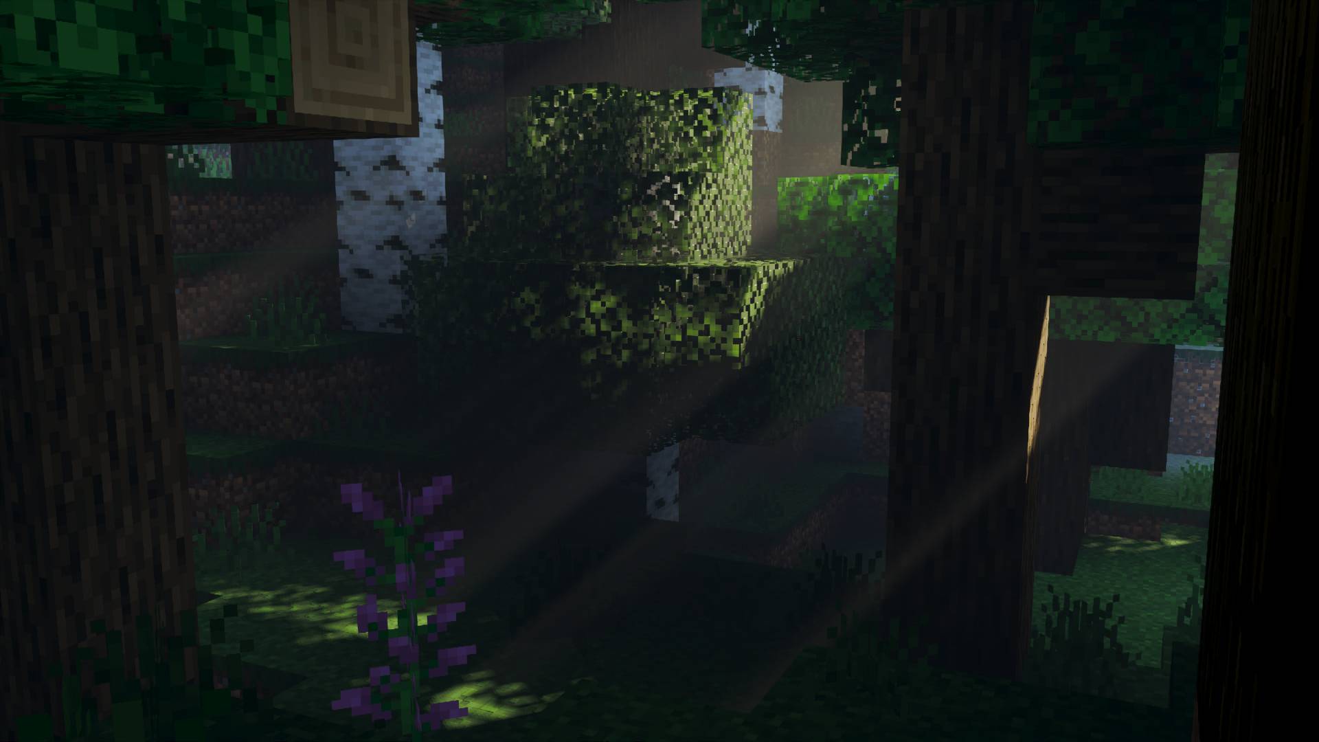 Vanilla Vibrant Visuals (Graphics Pack) Texture Pack (26.10) - MCPE ...